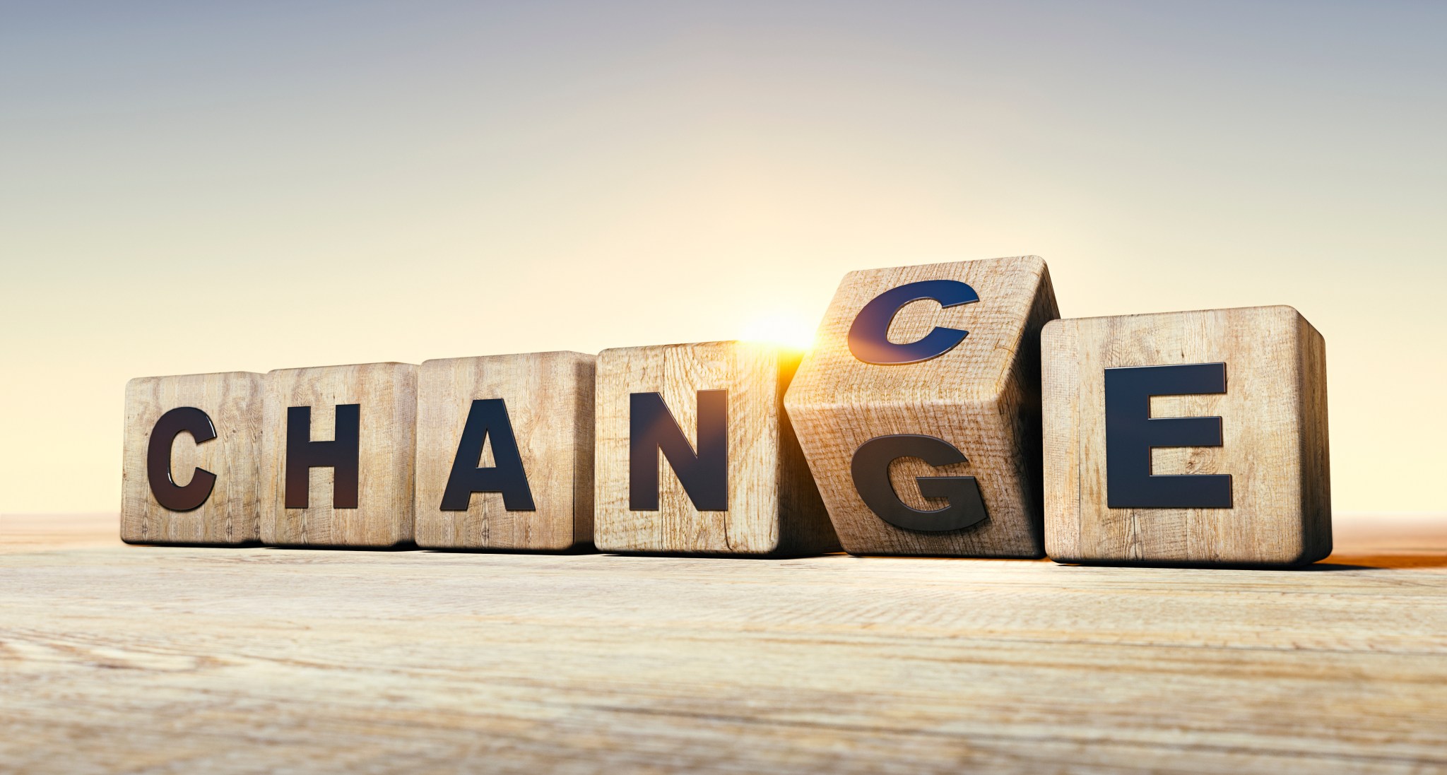 Change Management Support – Own Your Journey Co.